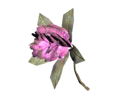 Rhododendron flower - The Vault Fallout Wiki - Everything you need to ...