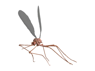 Bloodbug hatchling - The Vault Fallout Wiki - Everything you need to ...