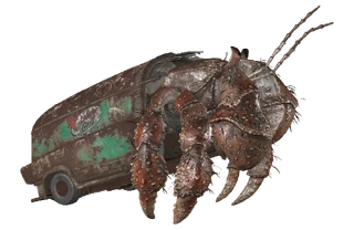 Giant hermit crab - The Vault Fallout Wiki - Everything you need to ...