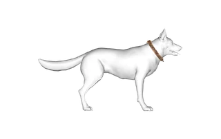 Spiked dog collar - The Vault Fallout Wiki - Everything you need to ...