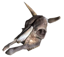 Brahmin skull - The Vault Fallout Wiki - Everything you need to know ...