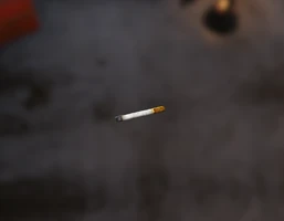 Cigarette (Fallout 4) - The Vault Fallout Wiki - Everything you need to ...