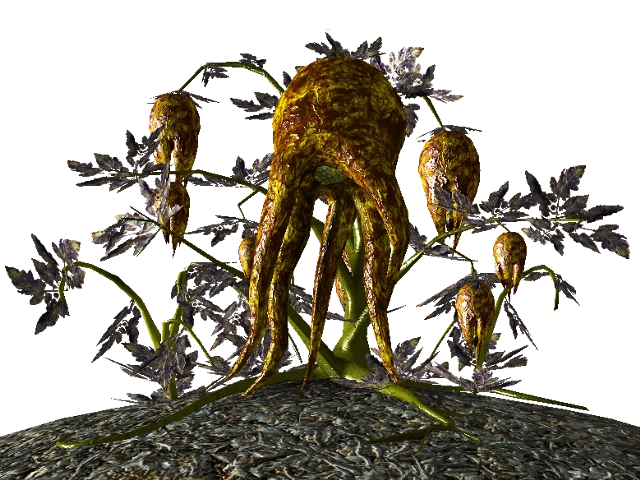 Mother Punga - The Vault Fallout Wiki - Everything you need to know ...