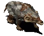 Giant rat (Fallout Tactics) - The Vault Fallout Wiki - Everything you ...