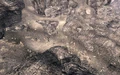 Deathclaw promontory - The Vault Fallout Wiki - Everything you need to ...