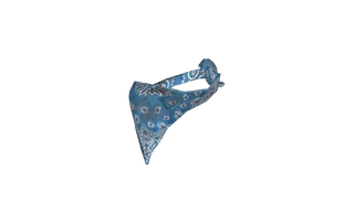 Blue bandana (Fallout 76) - The Vault Fallout Wiki - Everything you ...