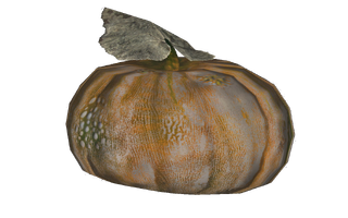 Gourd (Fallout 76) - The Vault Fallout Wiki - Everything you need to ...