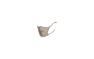 Surgical mask (Fallout 76) - The Vault Fallout Wiki - Everything you ...