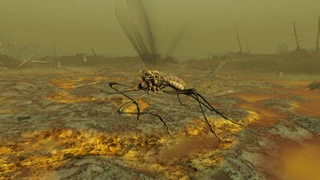 Red widow bloodbug - The Vault Fallout Wiki - Everything you need to ...