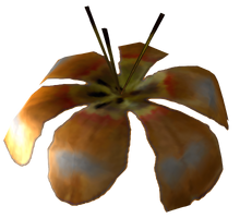 Broc flower (Fallout: New Vegas) - The Vault Fallout Wiki - Everything ...