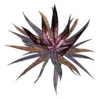 Thistle (Fallout 76) - The Vault Fallout Wiki - Everything you need to ...