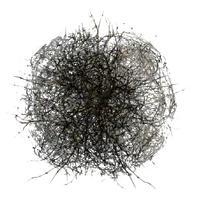 Tumbleweeds - The Vault Fallout Wiki - Everything you need to know ...