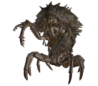 Mirelurk queen - The Vault Fallout Wiki - Everything you need to know ...