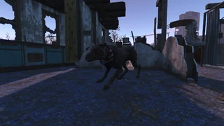 Ruby (Fallout 4) - The Vault Fallout Wiki - Everything you need to know ...