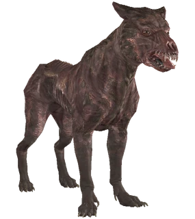 Wild mongrel (Fallout 76) - The Vault Fallout Wiki - Everything you ...