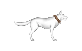 Double dog collar - The Vault Fallout Wiki - Everything you need to ...