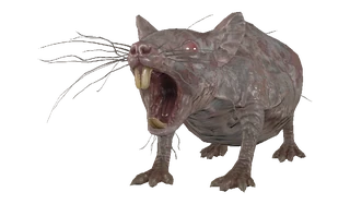 Mangy rad-rat pup - The Vault Fallout Wiki - Everything you need to ...