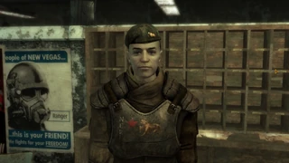 Knight (Fallout: New Vegas) - The Vault Fallout Wiki - Everything you ...