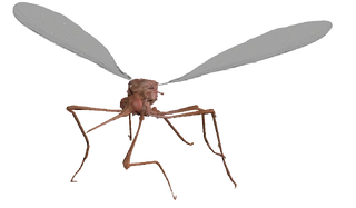 Vampiric bloodbug - The Vault Fallout Wiki - Everything you need to ...