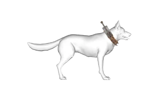 Reinforced dog collar - The Vault Fallout Wiki - Everything you need to ...