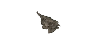 Brahmin skull (Fallout 4) - The Vault Fallout Wiki - Everything you ...