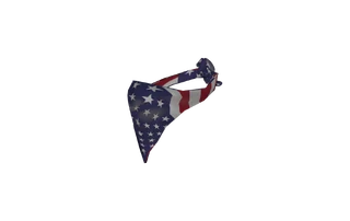 Stars and Stripes bandana - The Vault Fallout Wiki - Everything you ...