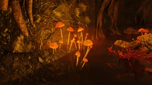 Enlightened fungus - The Vault Fallout Wiki - Everything you need to ...