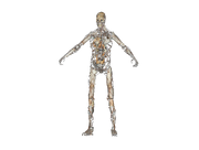 Synth - The Vault Fallout Wiki - Everything you need to know about ...