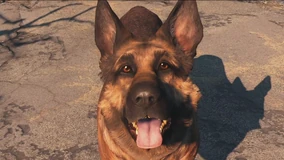 dog meat fallout 4 coloring pages