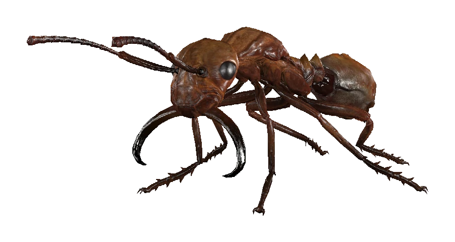 Overgrown forager ant (Fallout 76) - The Vault Fallout Wiki ...