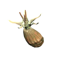 Strangler bloom - The Vault Fallout Wiki - Everything you need to know ...