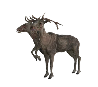 Erratic radstag - The Vault Fallout Wiki - Everything you need to know ...