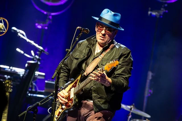 Elvis Costello | Fall Out Boy Wiki | Fandom