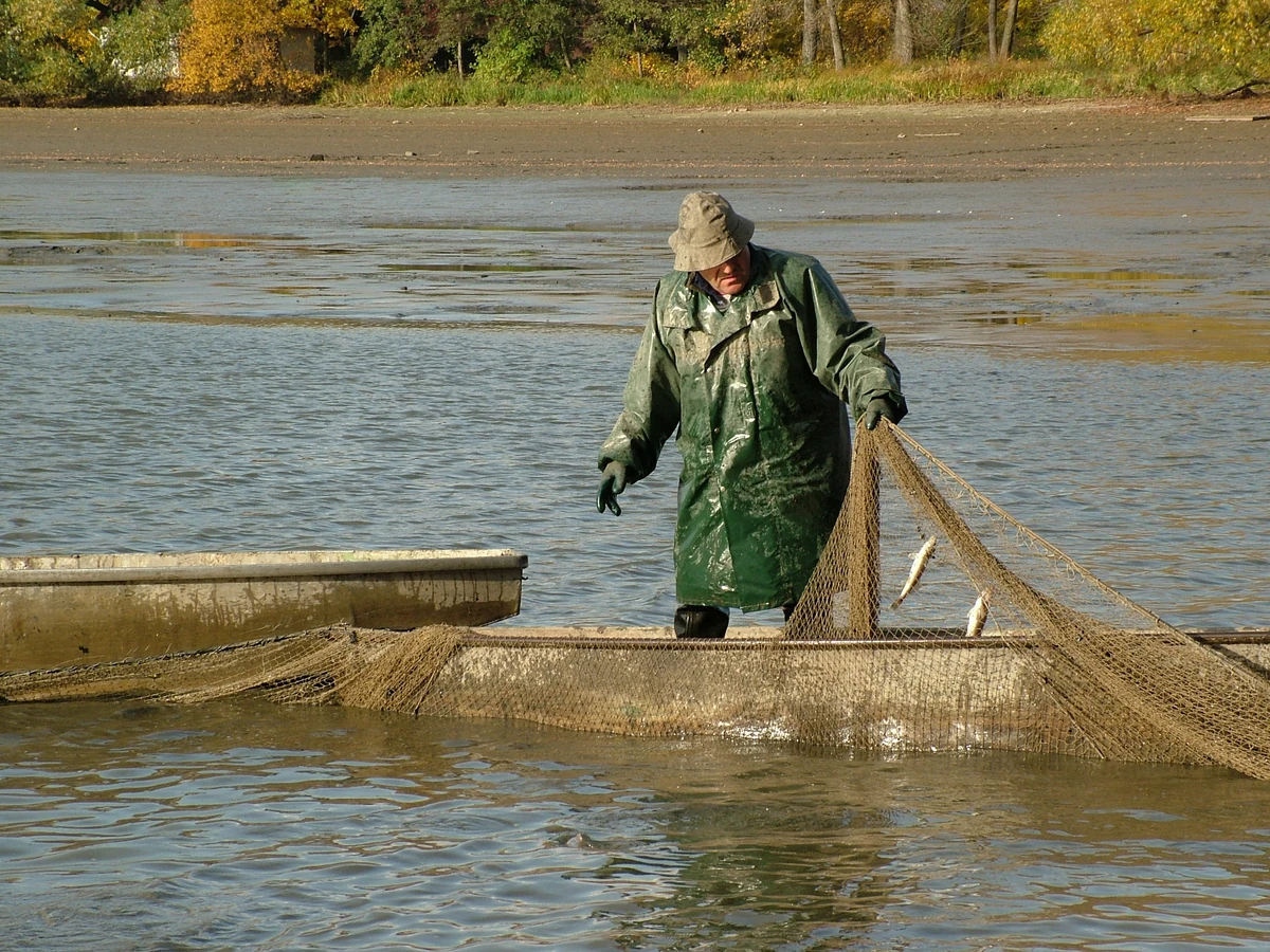 Jeer | Fallout Fanon Wiki | Fandom