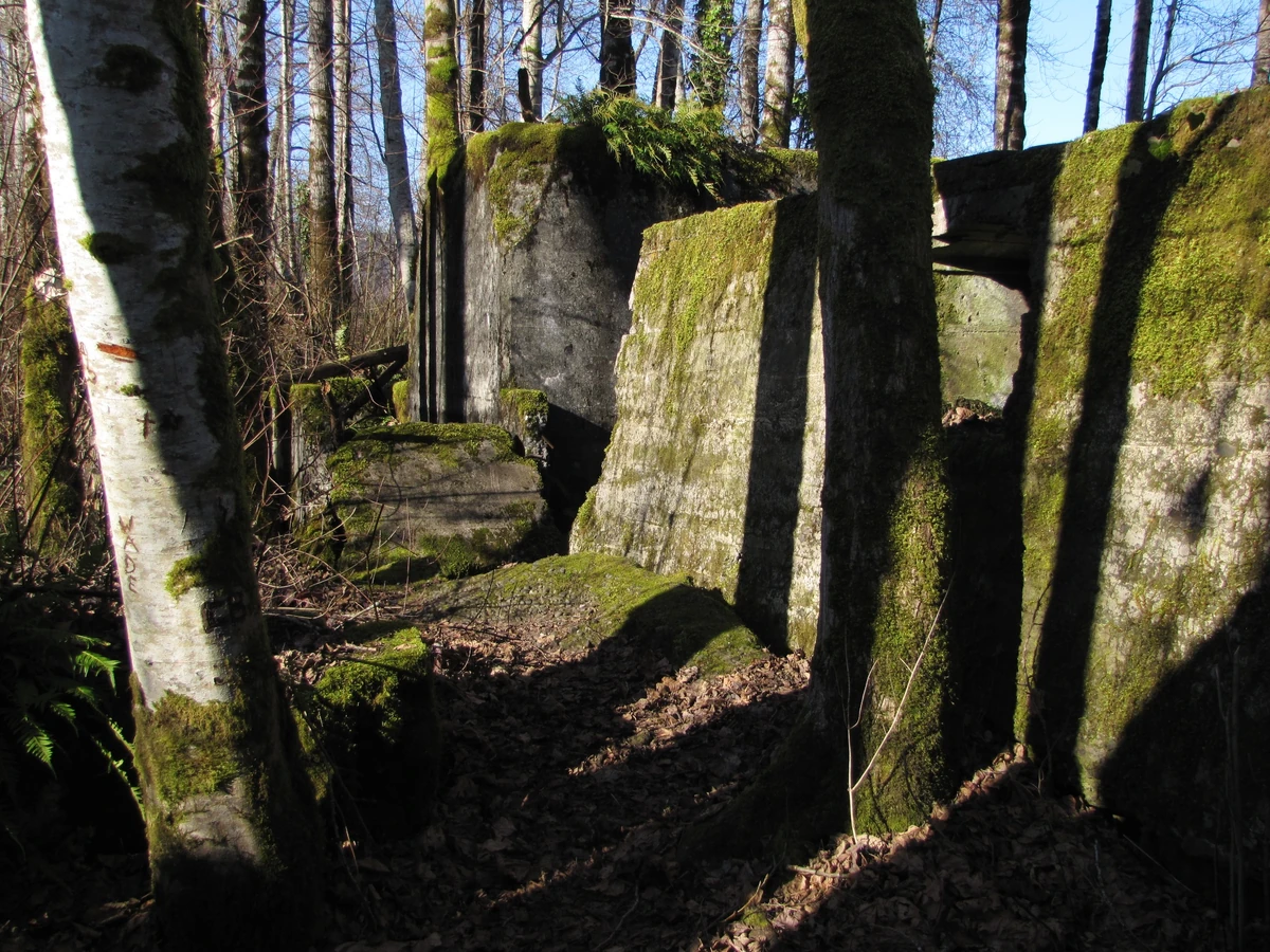 Oregon Brushfire Wars | Fallout Fanon Wiki | Fandom