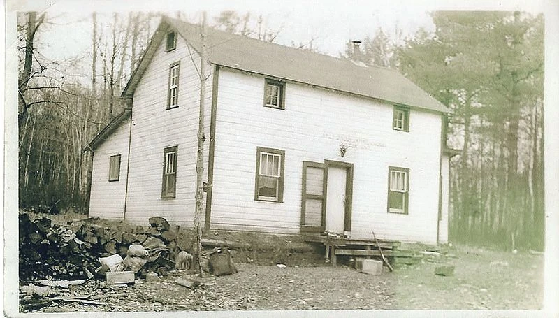 Thallus | Fallout Fanon Wiki | Fandom