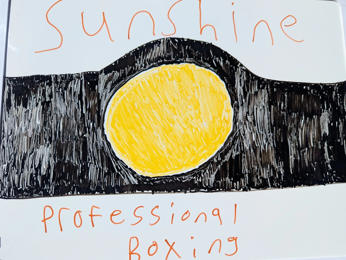 Sunshine Professional Boxing | Fallout Fanon Wiki | Fandom