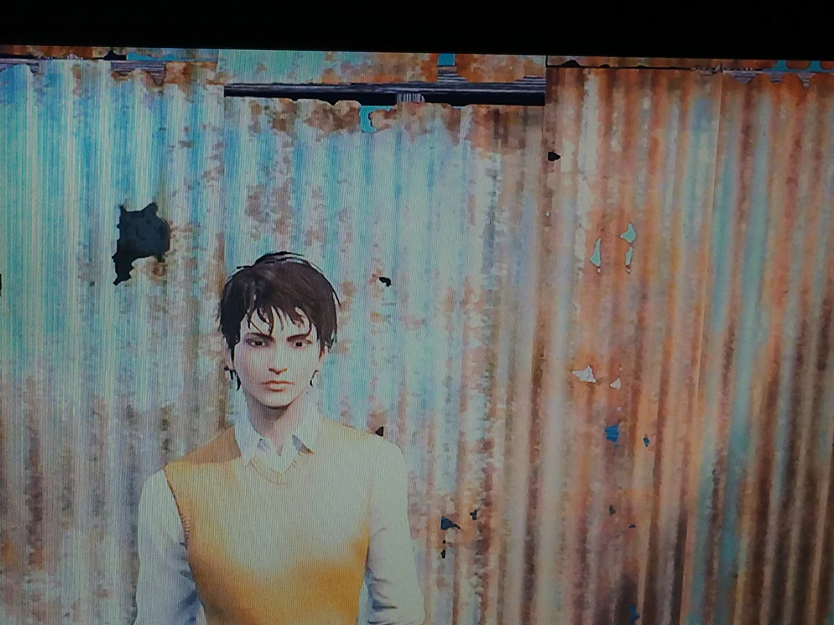 Erin Holtz | Fallout Fanon Wiki | Fandom