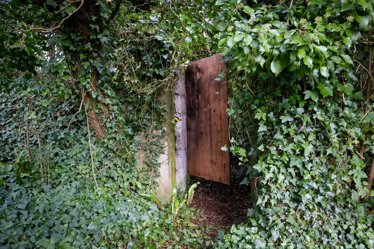 Vault 99 | Fallout Fanon Wiki | Fandom