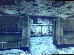 Sunny | Fallout Fanon Wiki | Fandom