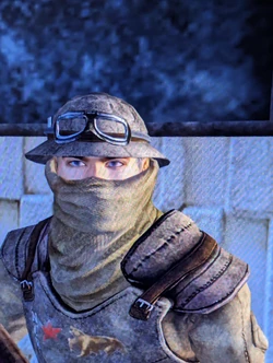 Aaron Hamlets | Fallout Fanon Wiki | Fandom