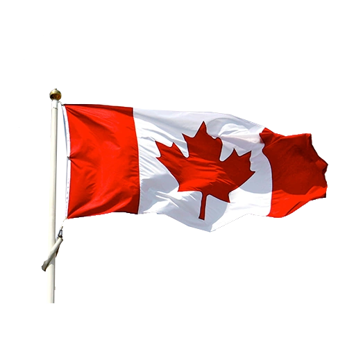 The Peg | Fallout Fanon Wiki | Fandom