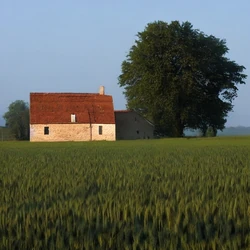 Kent Farm | Fallout Fanon Wiki | Fandom