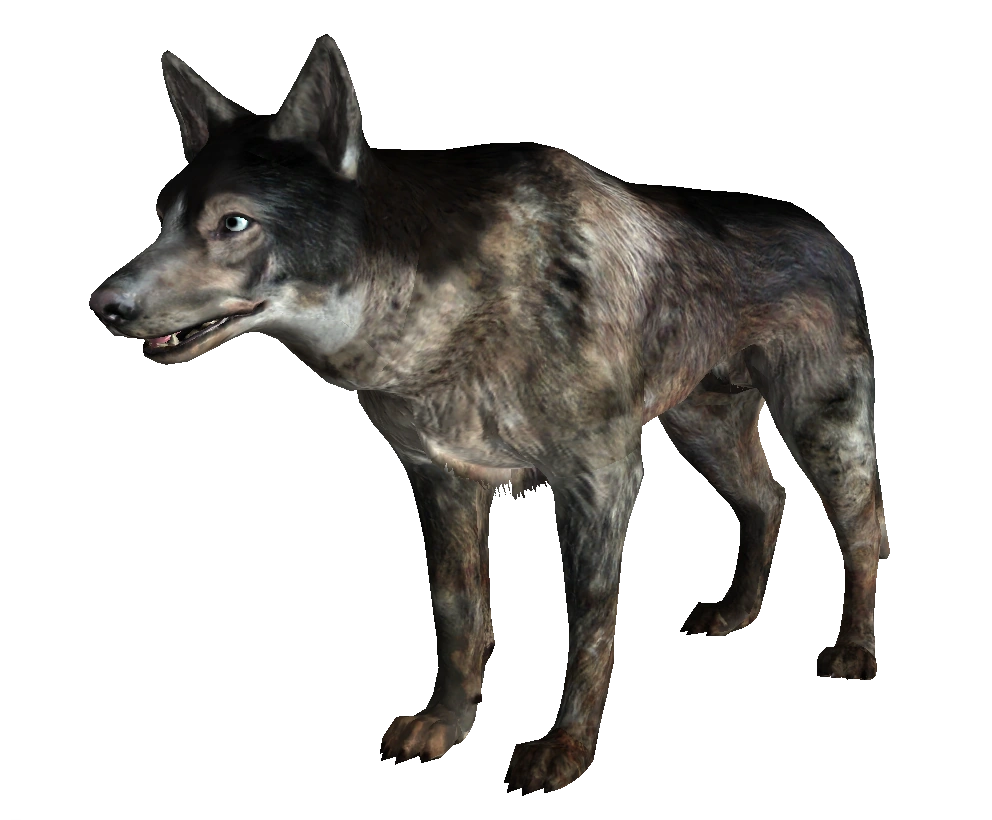 Chiens | Wiki FalloutRPGcampagnedumur | Fandom