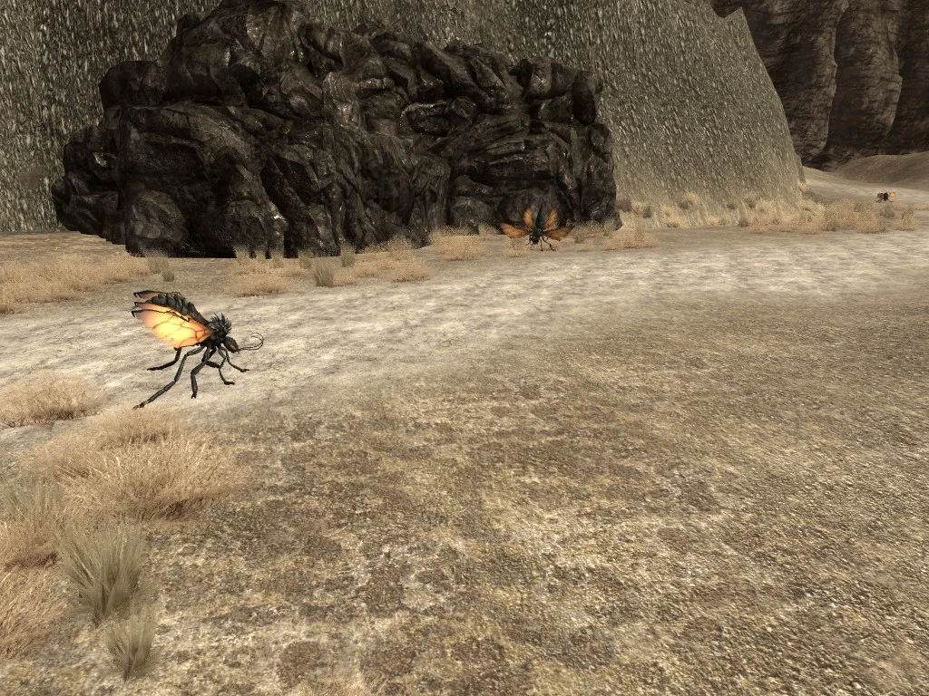 The Wasteland | Fallout: The Wasteland Wiki | Fandom