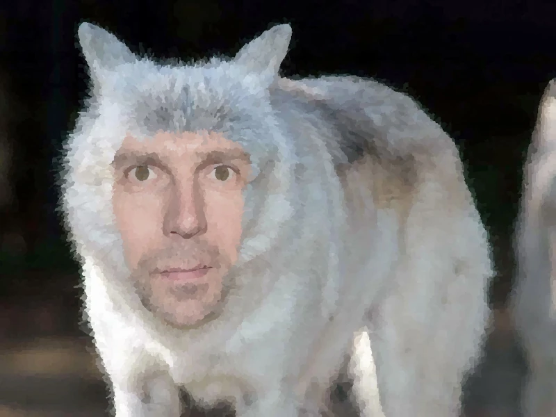 Roger Hewitt | Falls Marvelous Adventure Wiki | Fandom