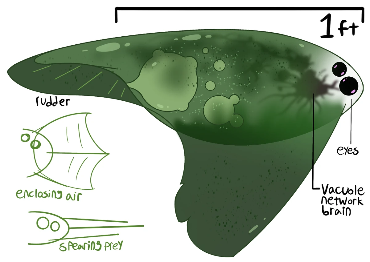 Mutable-Winged Airsnatcher | Fall's Legacy Wiki | Fandom