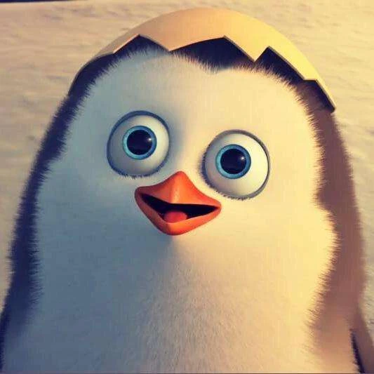 Riverita Posting | Wiki Familia Rusa | Fandom