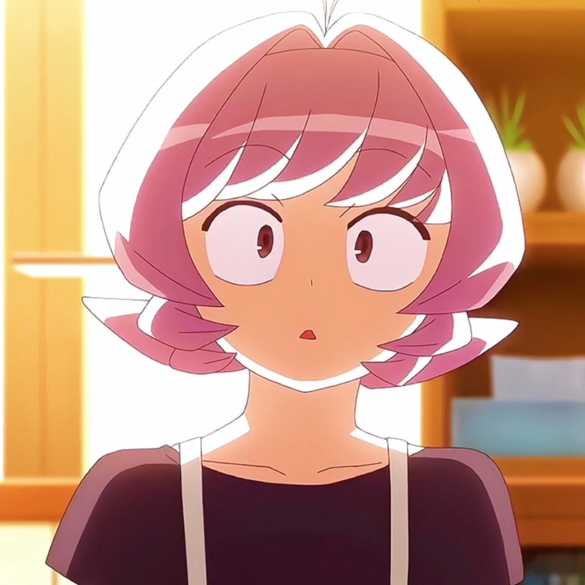 Sudamericano | Wiki Familia Rusa | Fandom