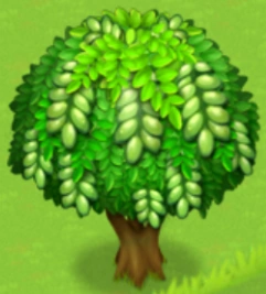 Olive Tree | Family Farm Seaside Wiki | Fandom